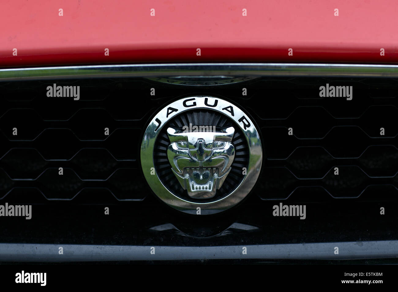 Robert Crampton journaliste test de conduite la nouvelle Jaguar F-type ...