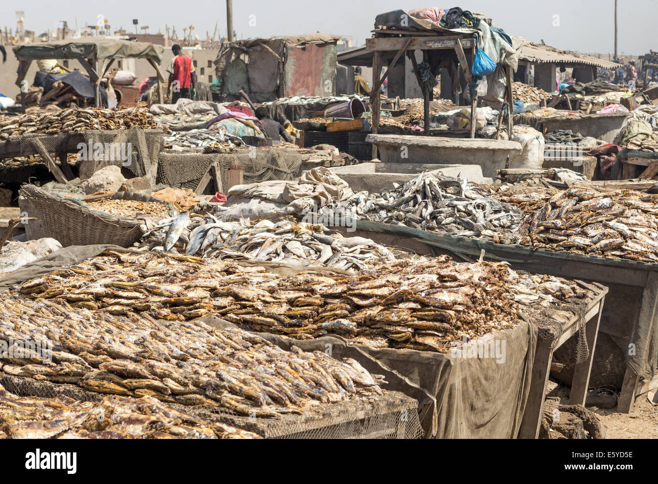 Poisson fumé et frais : marché aux poissons, Langue de Barbarie, St ...