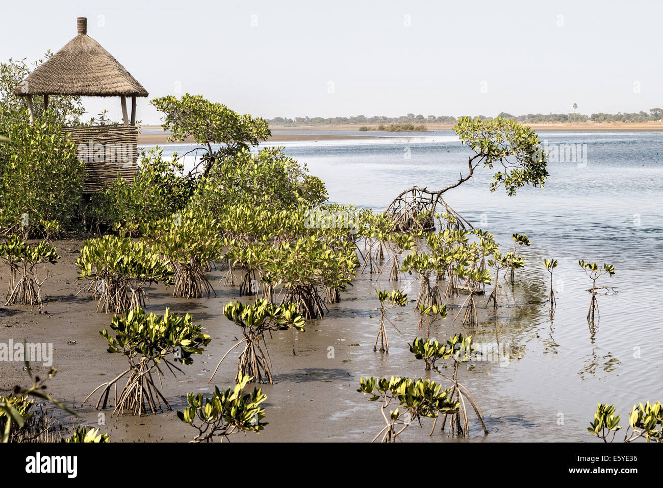 Delta sine saloum Banque de photographies et d’images à haute ...