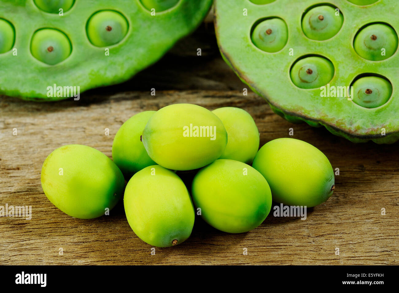 Lotus seed Banque de photographies et d’images à haute résolution - Alamy
