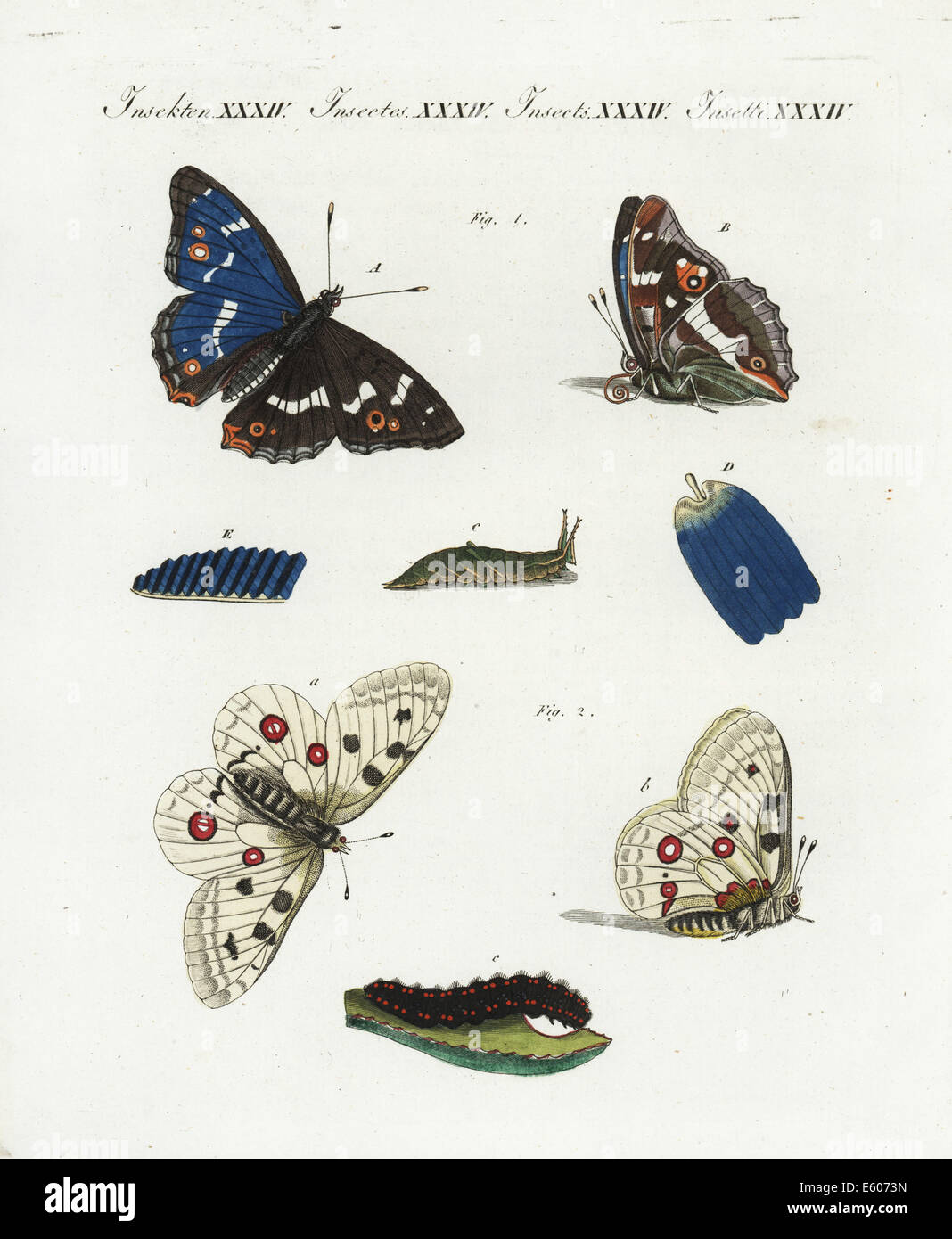 Avec ses enfants apollo Banque de photographies et d’images à haute ...