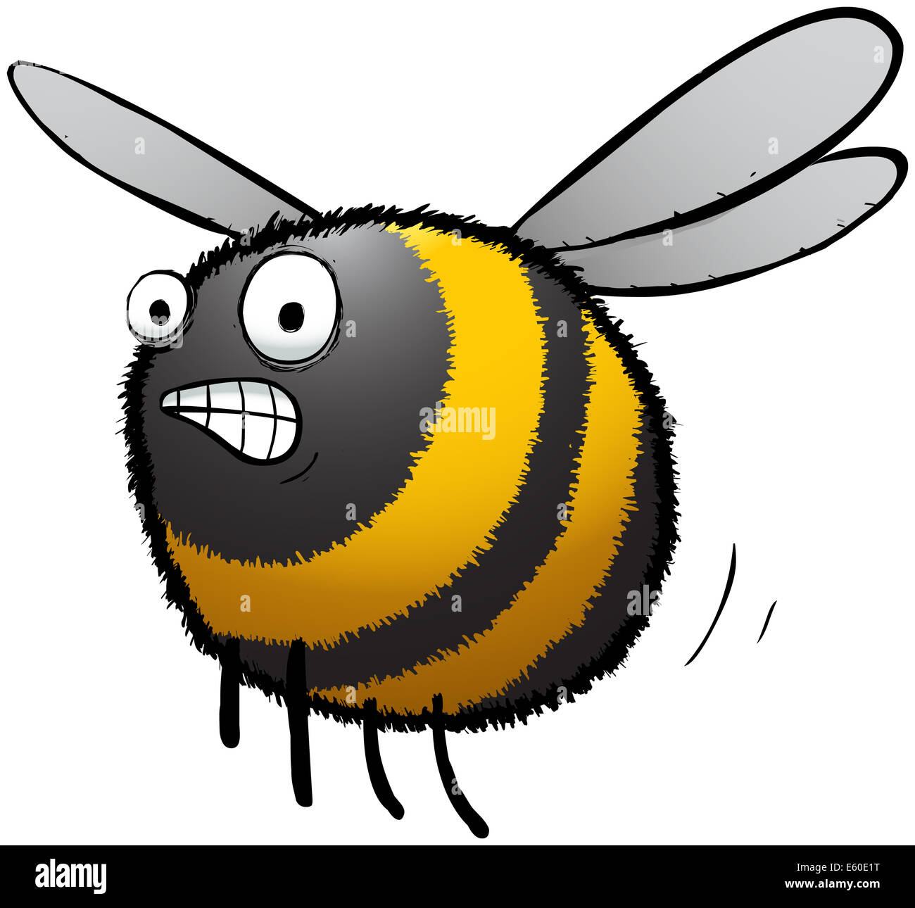 Bourdon noir et jaune Banque d'images détourées - Alamy