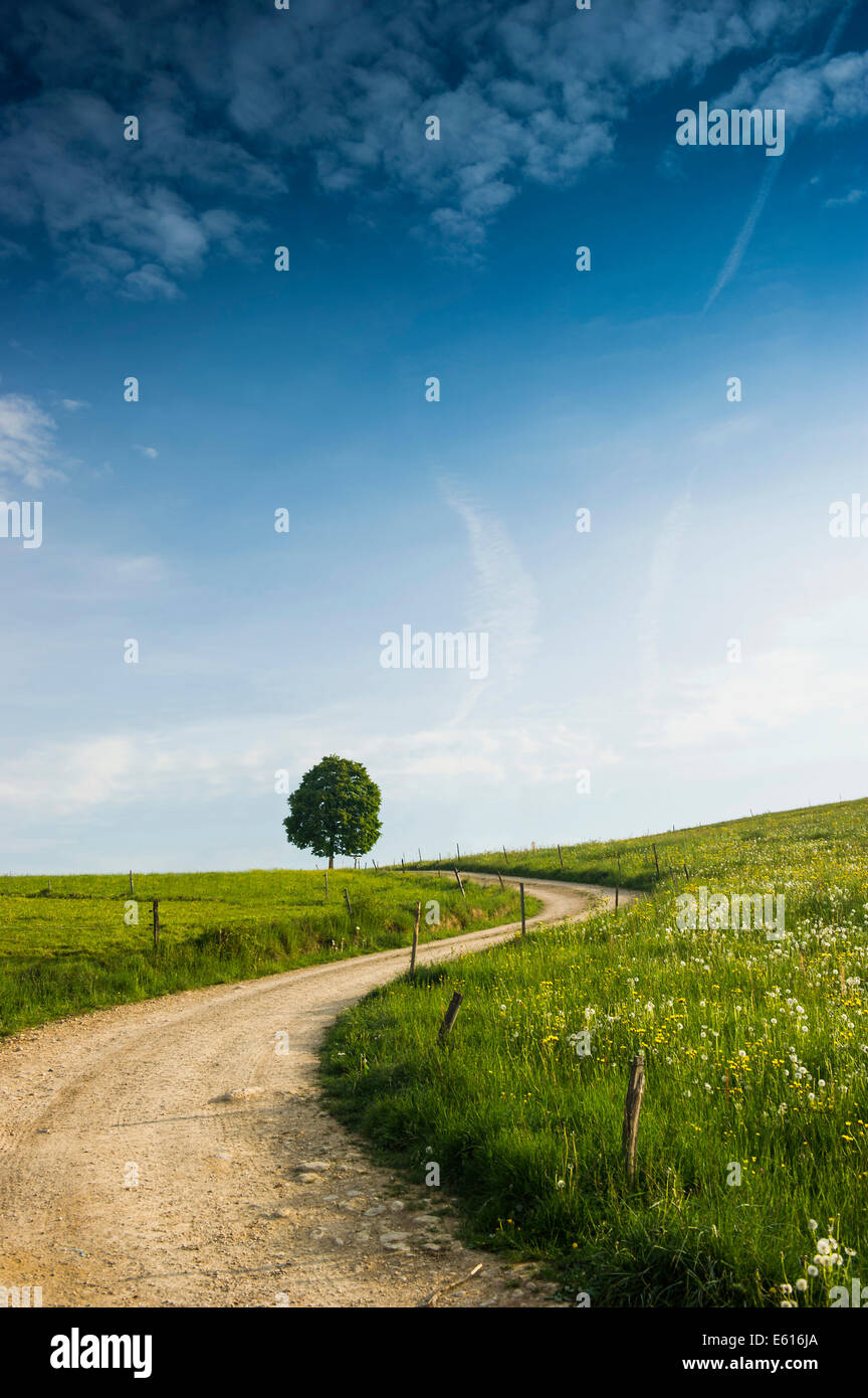 Chemin de terre sinueux Banque de photographies et d’images à haute ...