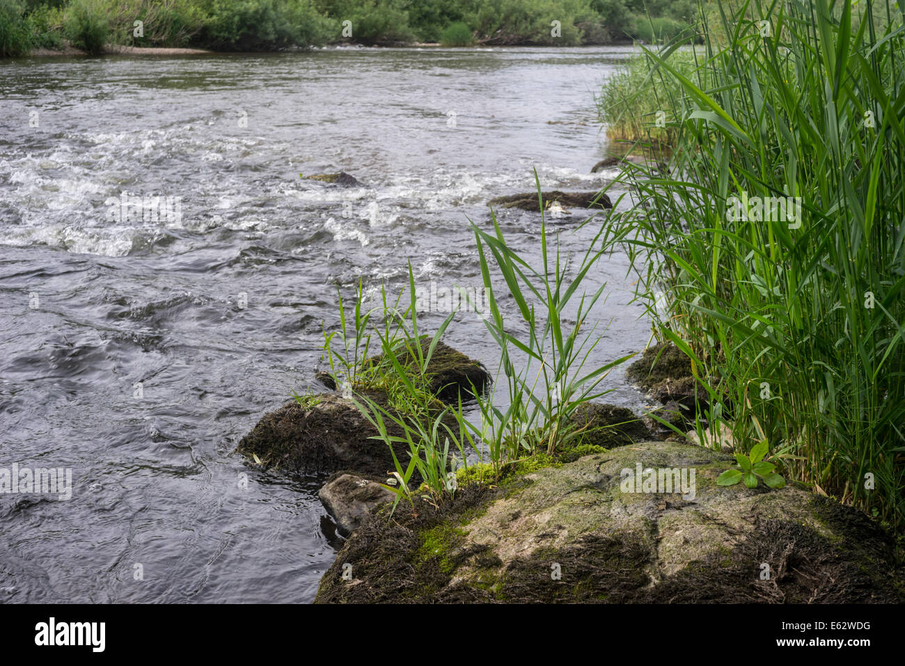 River teviot bridge Banque de photographies et d’images à haute ...
