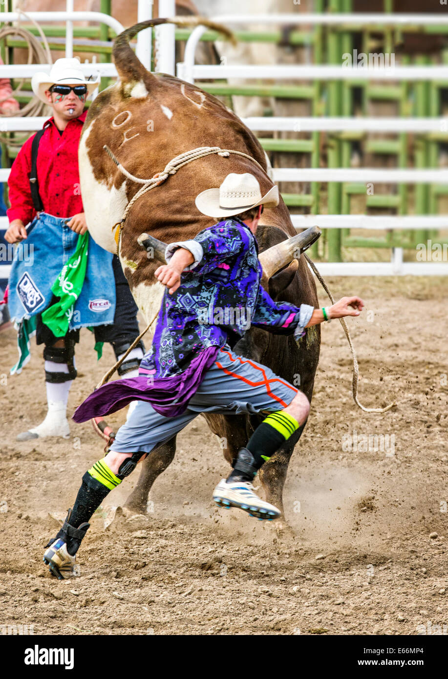 Rodeo clown Banque de photographies et d’images à haute résolution - Alamy