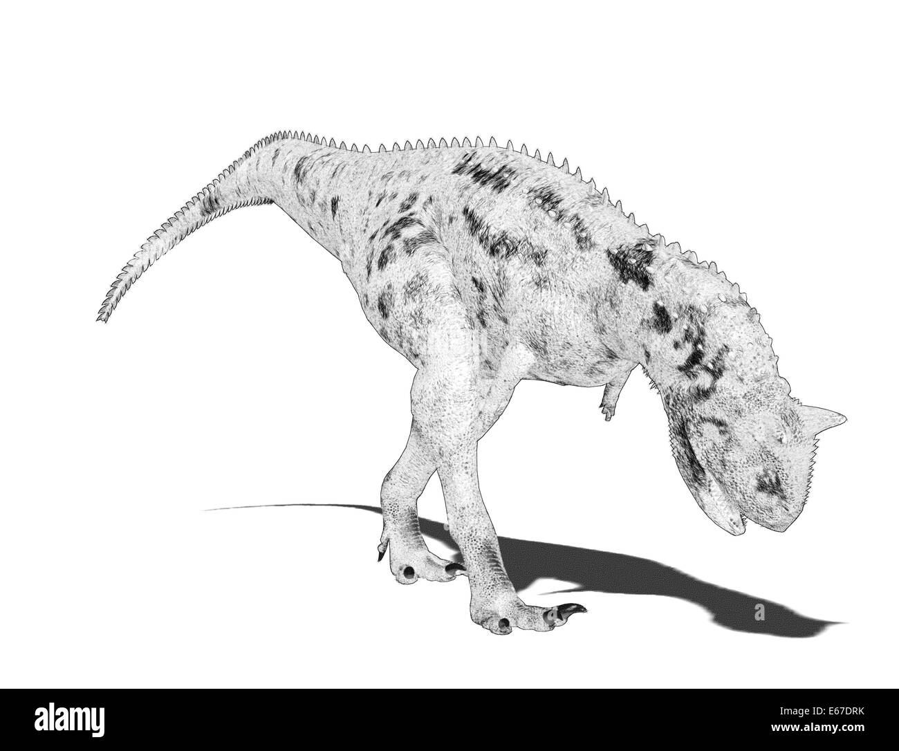 Carnotaurus Dinosaur Banque d'image et photos - Alamy