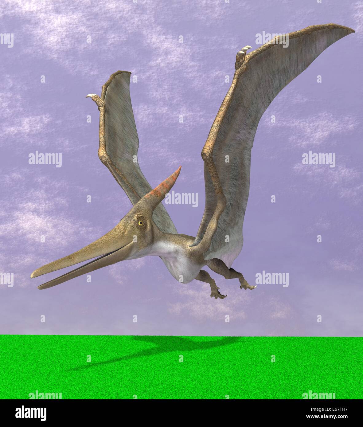 Dinosaur pteranodon Banque de photographies et d’images à haute résolution - Alamy