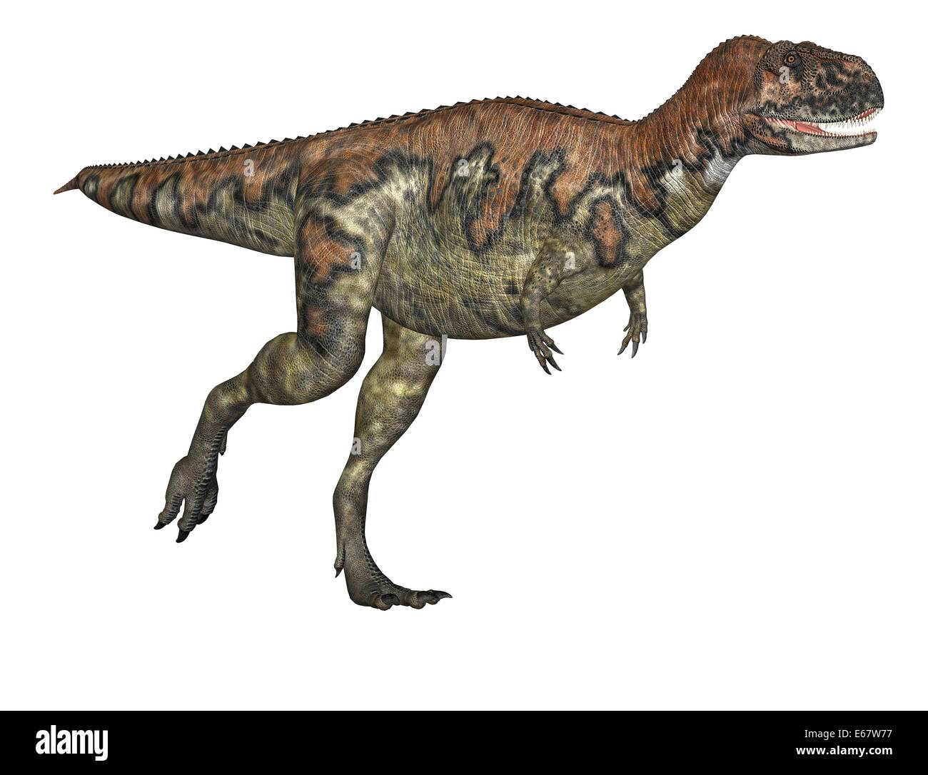 Skorpiovenator bustingorryi Banque de photographies et d’images à haute ...