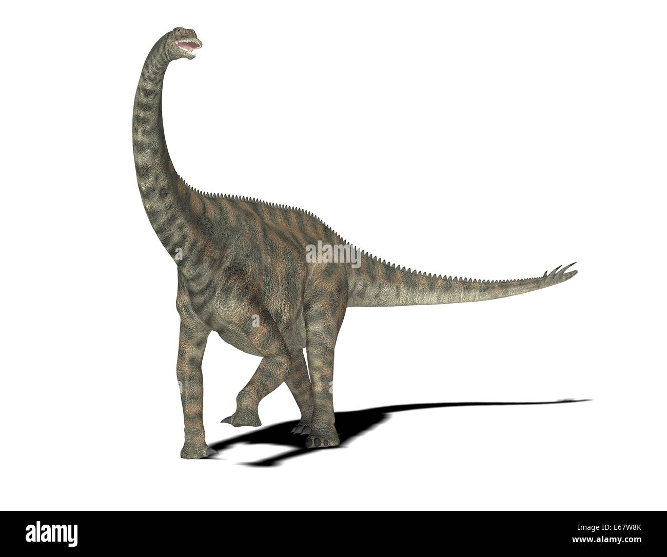 Spinophorosaurus nigerensis Banque de photographies et d’images à haute ...