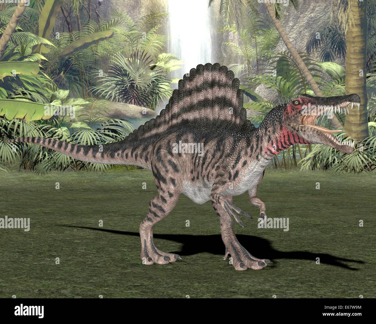 Spinosaurus dinosaur Banque de photographies et d’images à haute résolution - Alamy