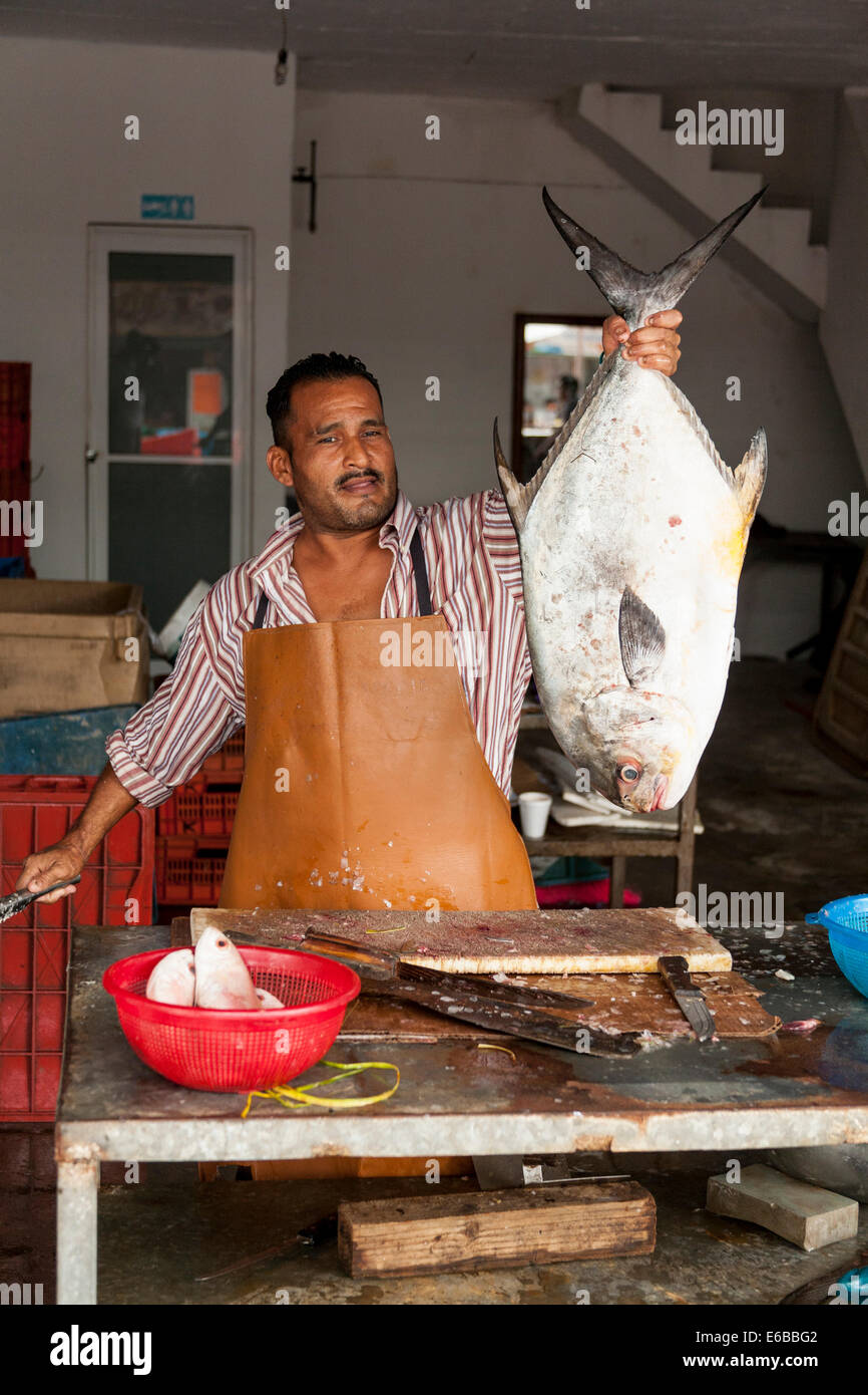Pompano fish Banque de photographies et d’images à haute résolution - Alamy