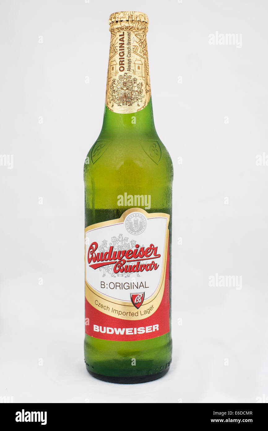 Budweiser budvar Banque de photographies et d’images à haute résolution ...