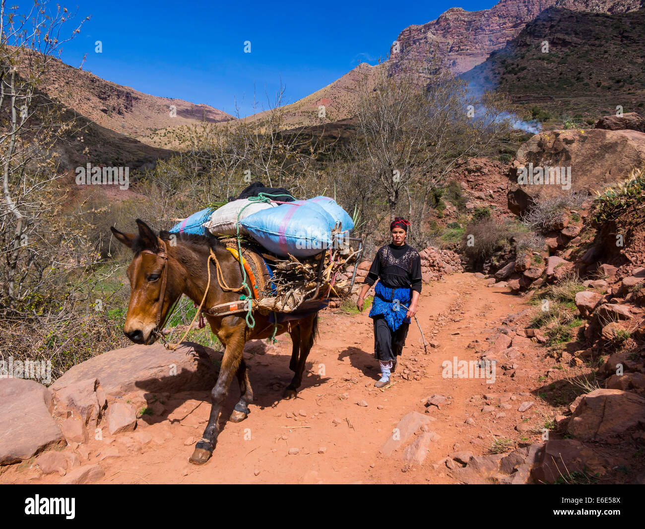 Cheval porter une lourde charge Banque de photographies et d’images à ...