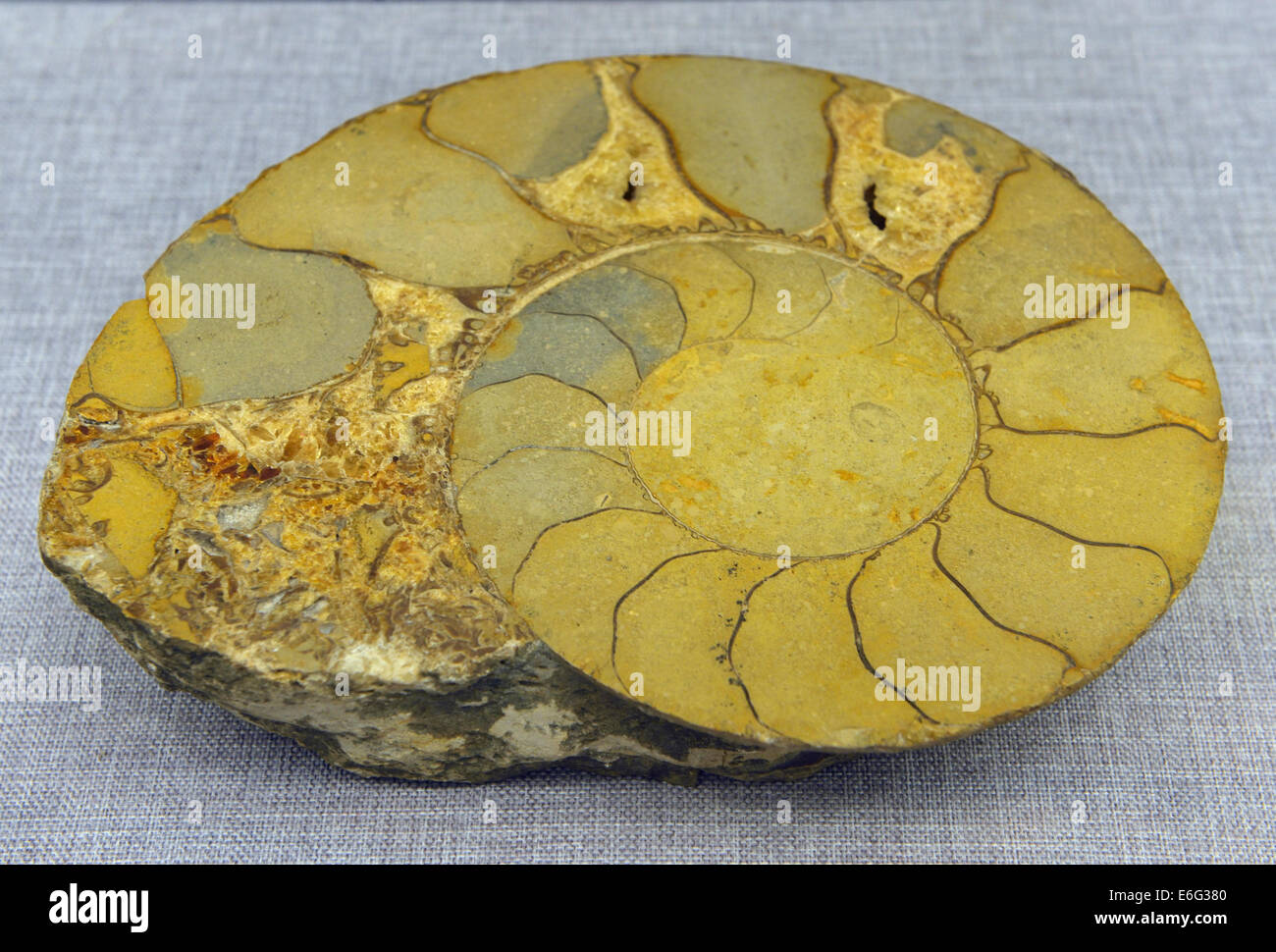 The president of madagascar Banque de photographies et d’images à haute ...