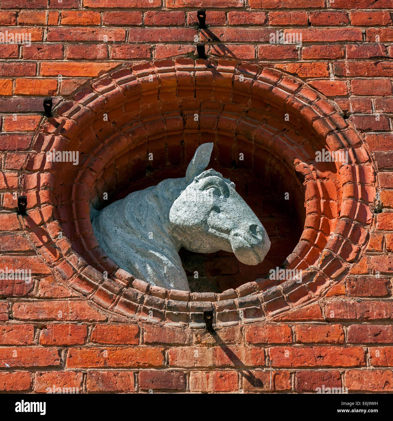 Détail de la sculpture de la tête de cheval sur mur de brique rouge ...