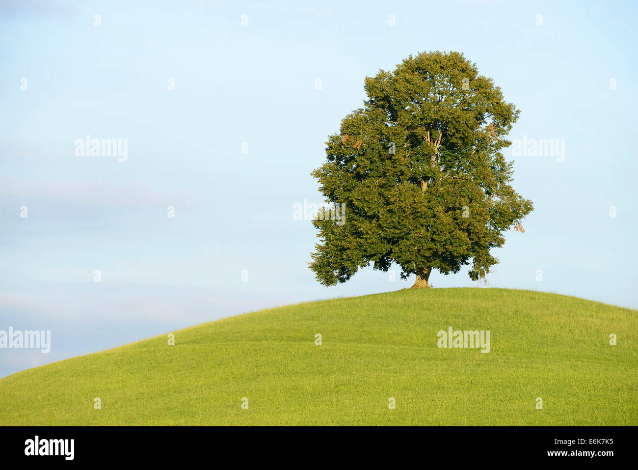 Colline verte Banque de photographies et d’images à haute résolution ...