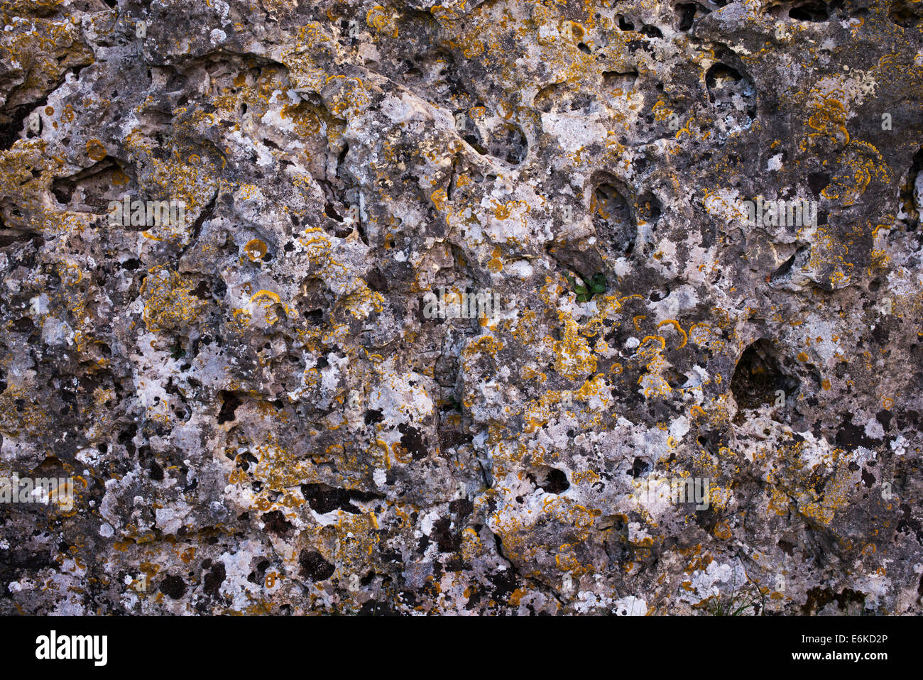 Motif de roche calcaire Banque de photographies et d’images à haute ...