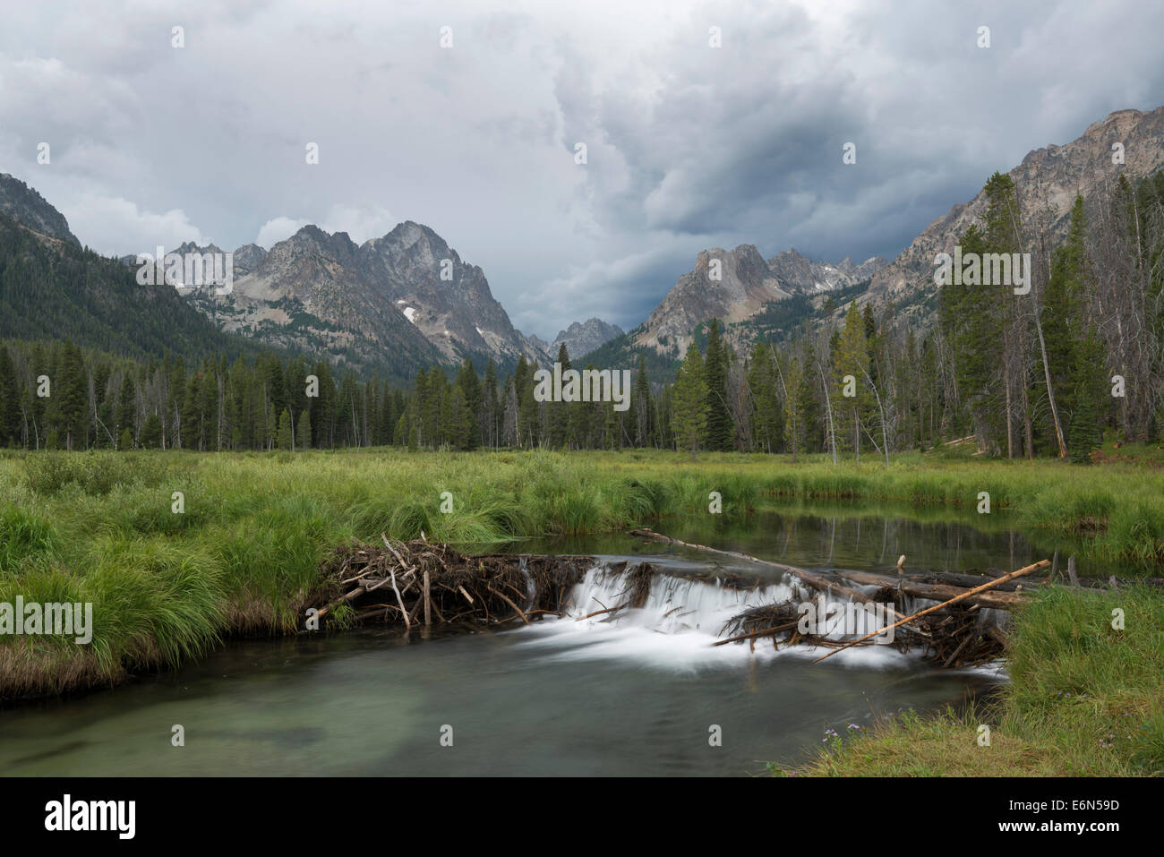 Ruisseau barrage de castor Banque de photographies et d’images à haute ...