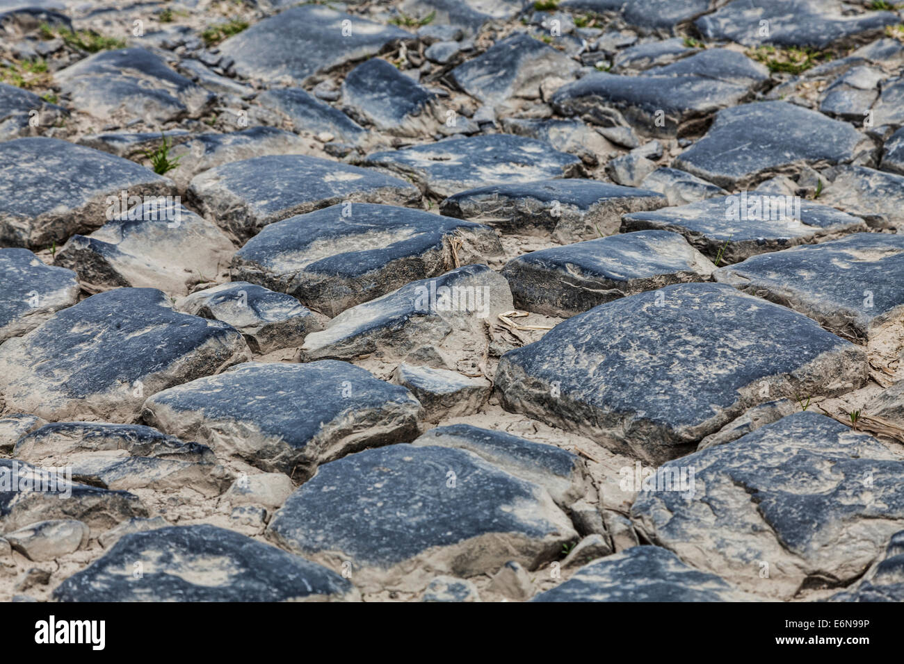 Détail d'une route pavée, situé dans le Nord de la France près de Lille ...