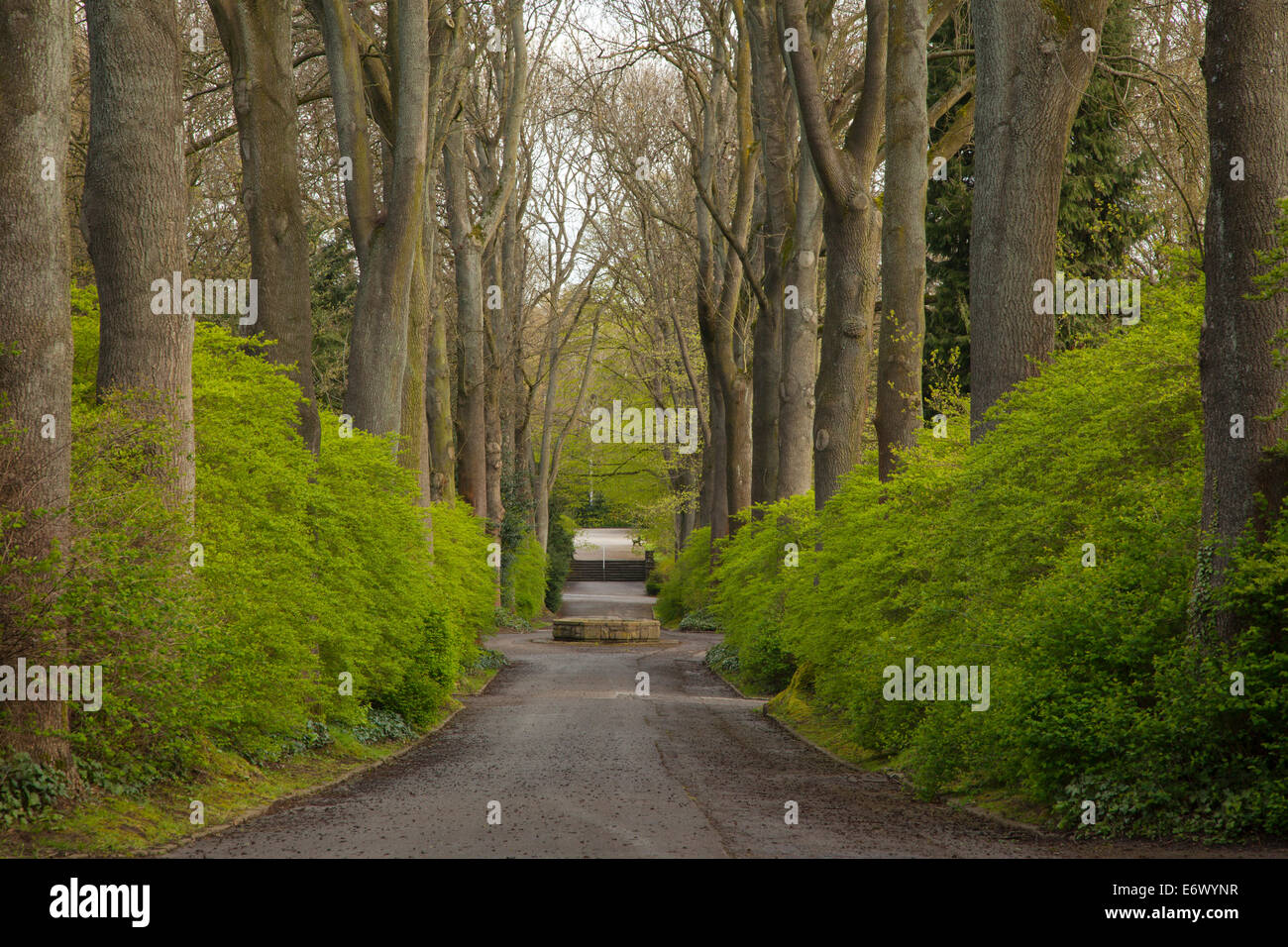 Bassin du rhin Banque de photographies et d’images à haute résolution ...