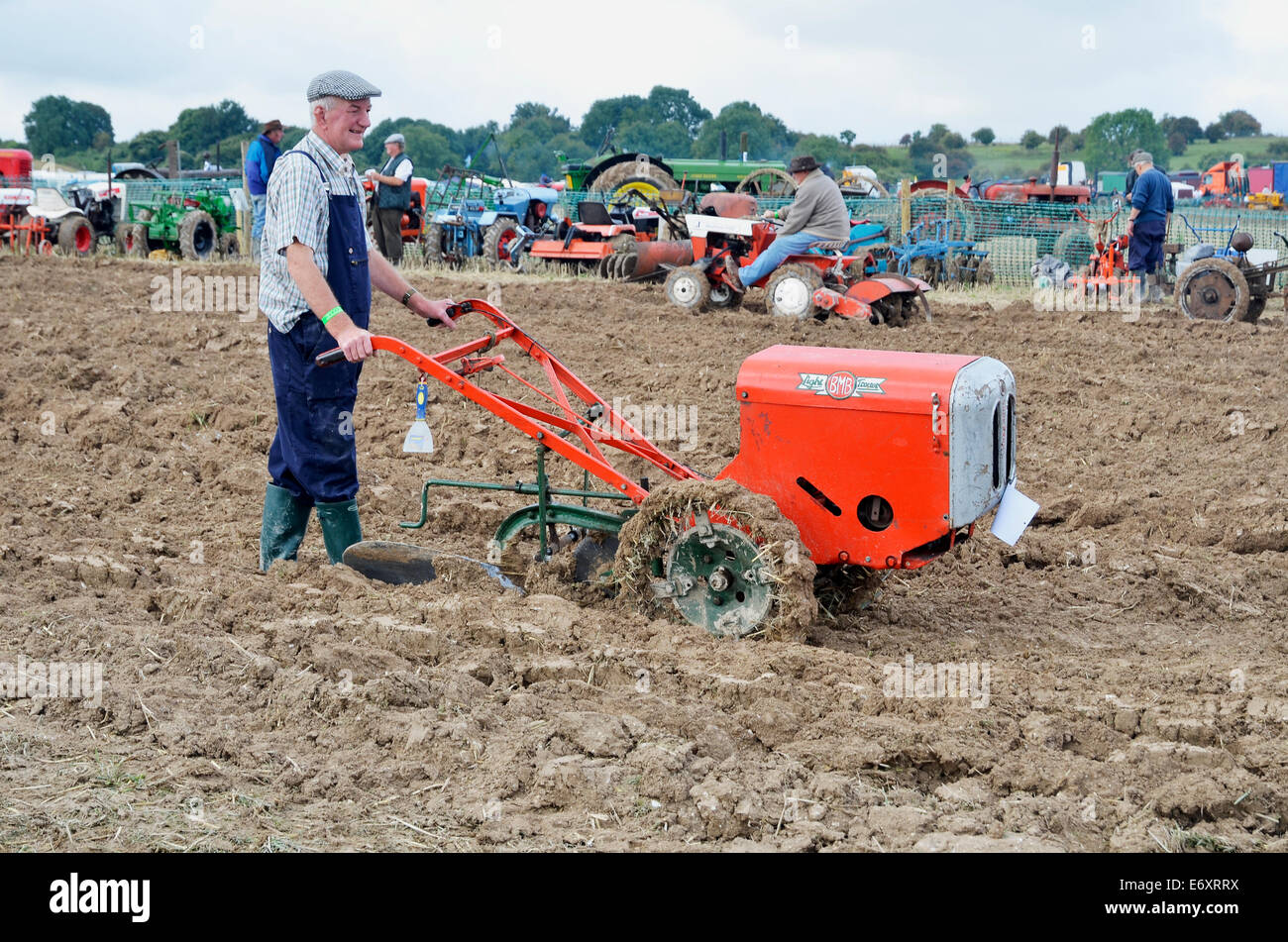 Tracteur bmb plowmate des années 1940 Banque de photographies et d ...