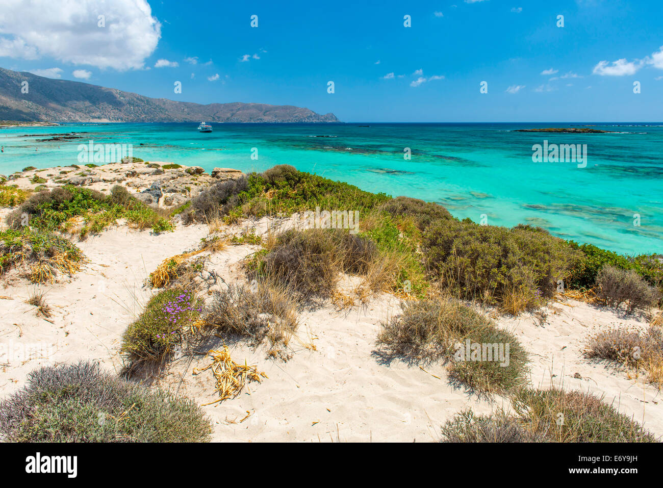 La célèbre plage de sable rose d'Elafonissi Elafonissi ( ) en Crète ...