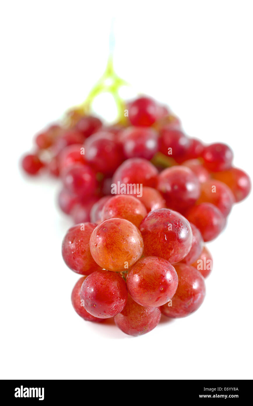 Grappe de raisin rouge raisin rouge Banque de photographies et d’images ...