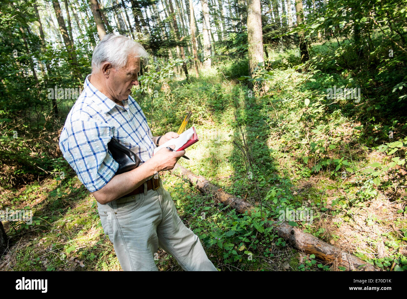 Homme arbre Banque de photographies et d’images à haute résolution - Alamy