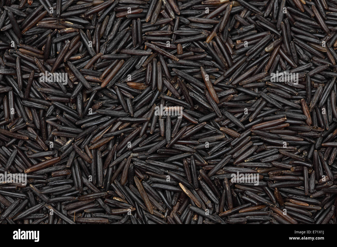 Riz sauvage Banque de photographies et d’images à haute résolution - Alamy