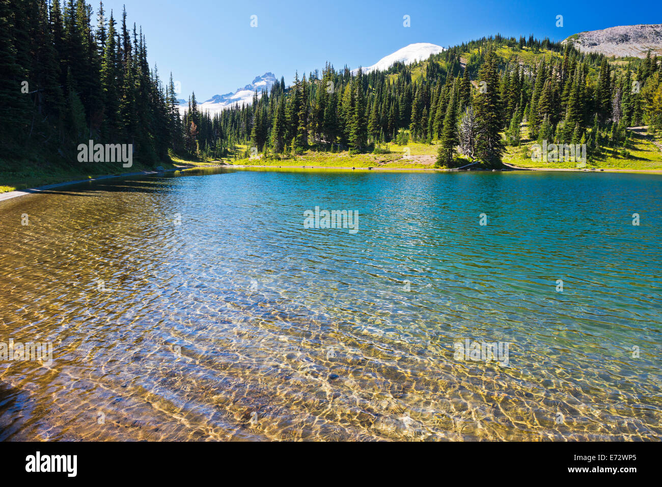 Clear lake state park Banque de photographies et d’images à haute ...
