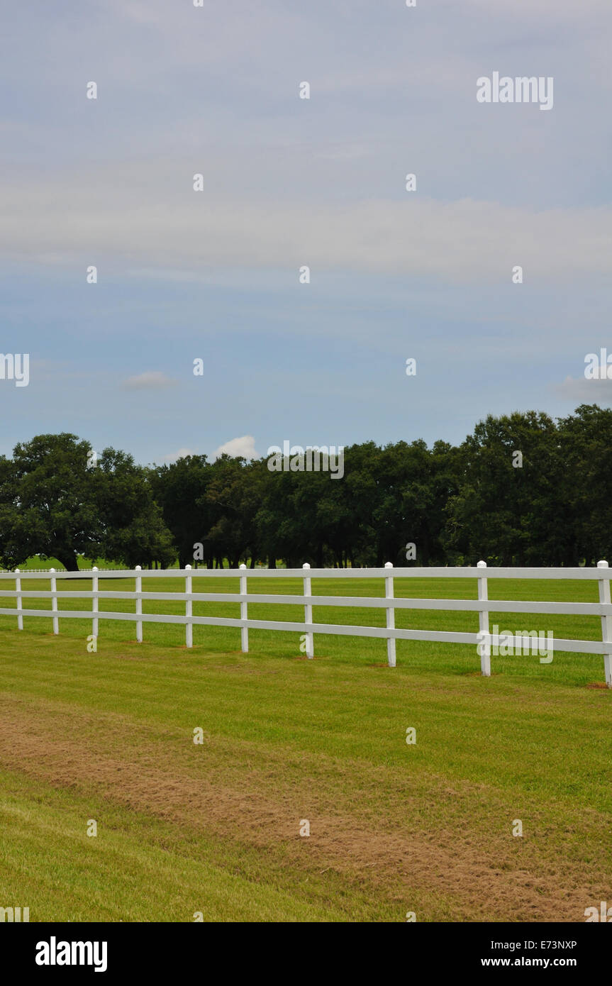 Horse ranch Banque de photographies et d’images à haute résolution - Alamy