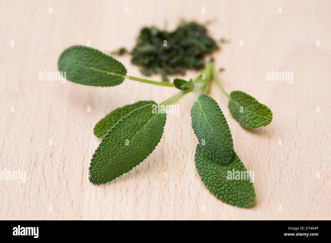 Salvia officinalis. Feuilles de sauge sur une planche de bois Photo ...