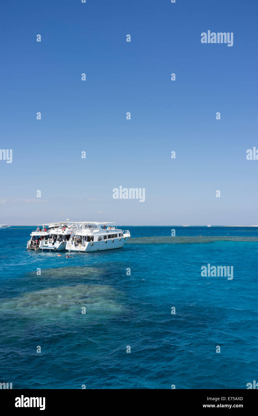 La plongée et la plongée avec tuba dans la mer Rouge de la côte de l ...