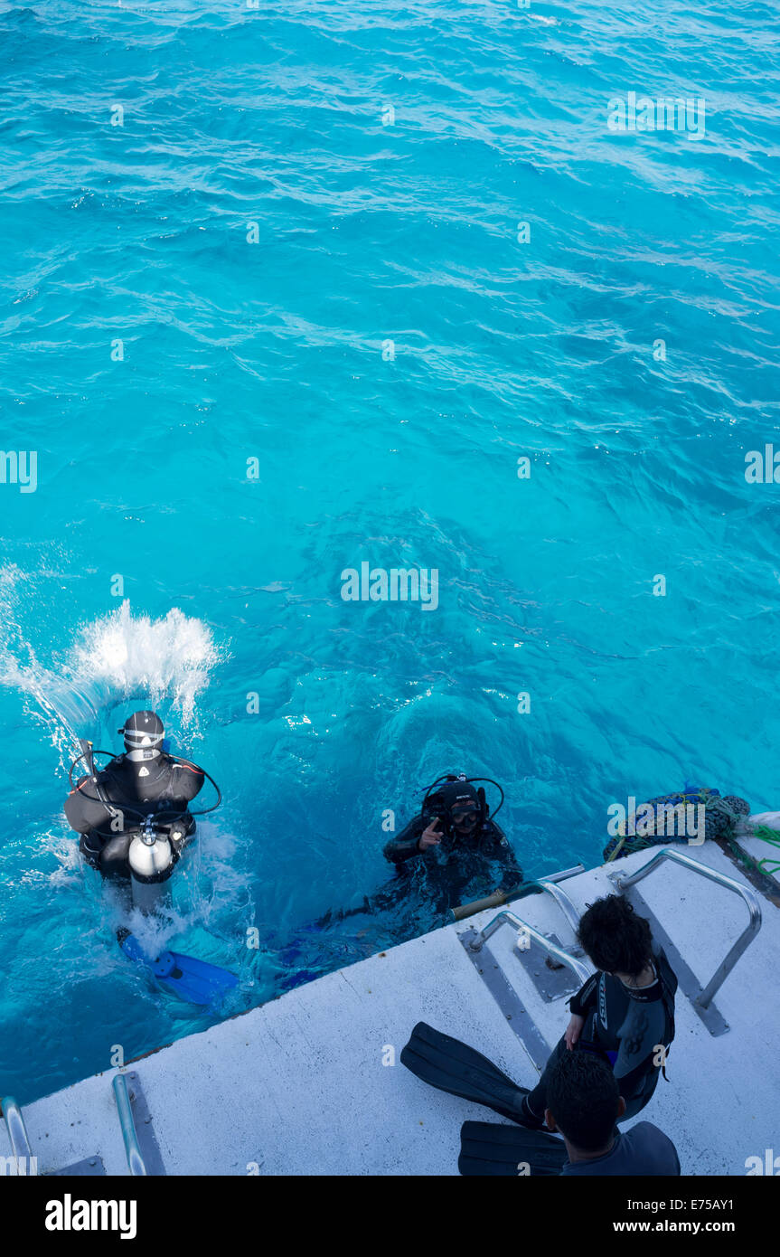 La plongée et la plongée avec tuba dans la mer Rouge de la côte de l ...