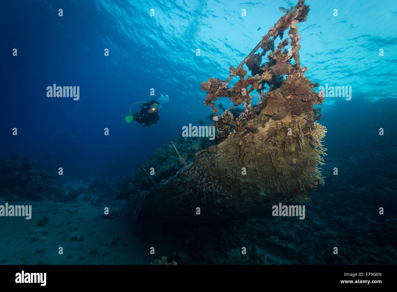Explore l'épave de bateau de plongée en Mer Rouge, Egypte Photo Stock ...