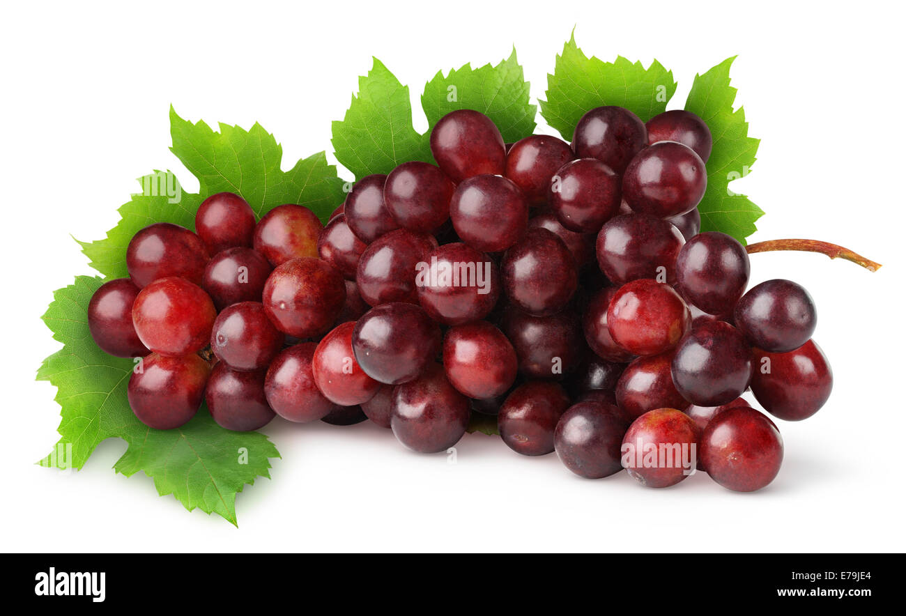 Cépages rouges sur fond blanc Photo Stock - Alamy