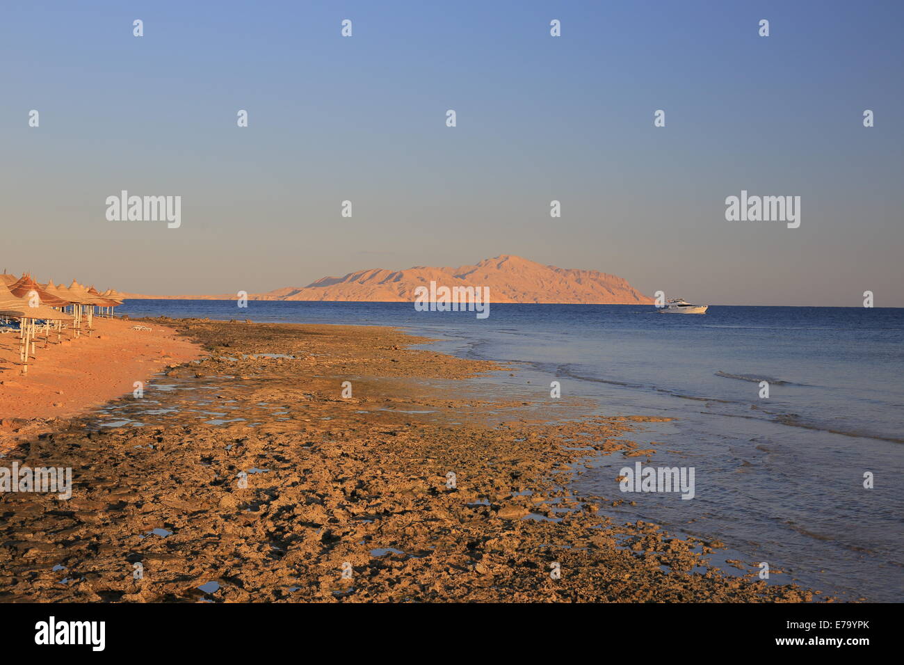 Sharm el sheikh beach Banque de photographies et d’images à haute ...