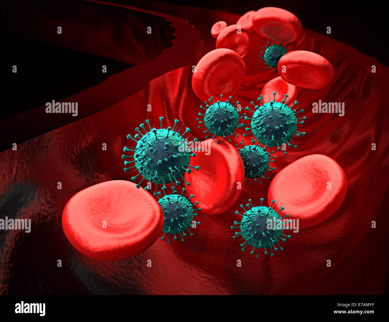 Les leucocytes Banque de photographies et d’images à haute résolution ...