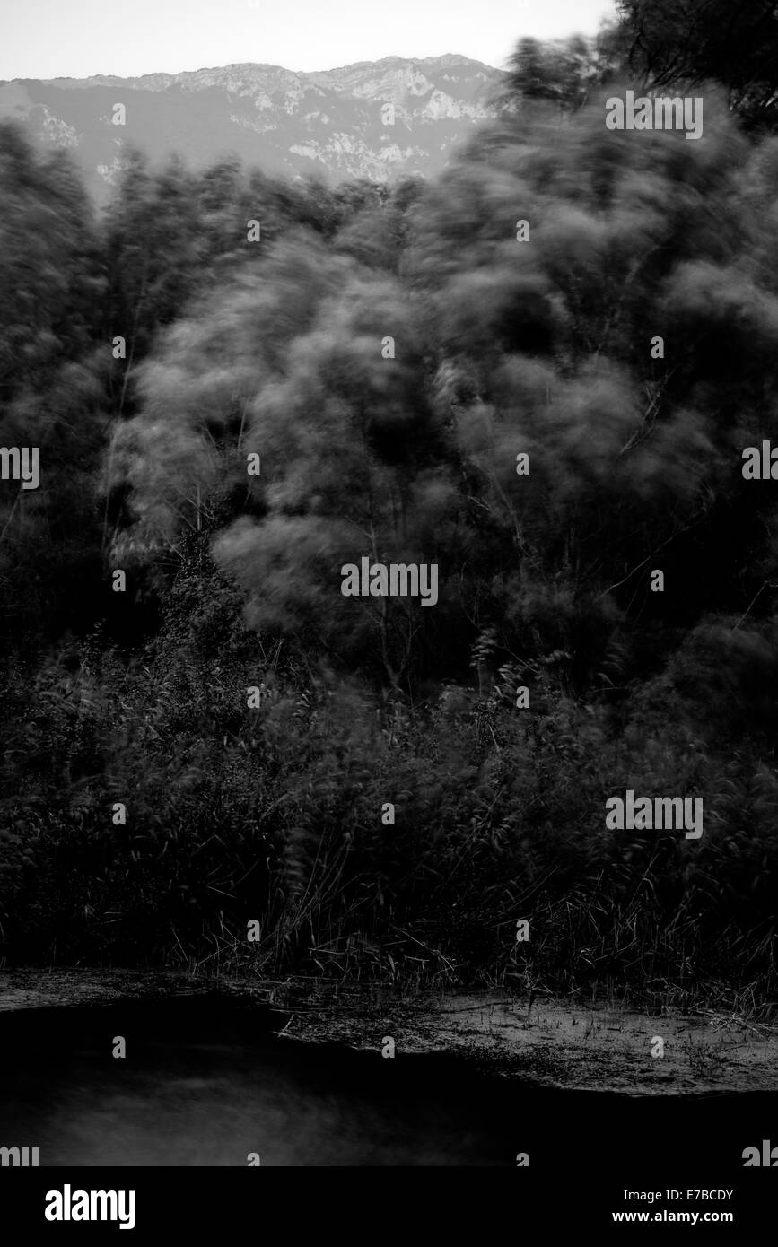 Le vent souffle Banque de photographies et d’images à haute résolution ...
