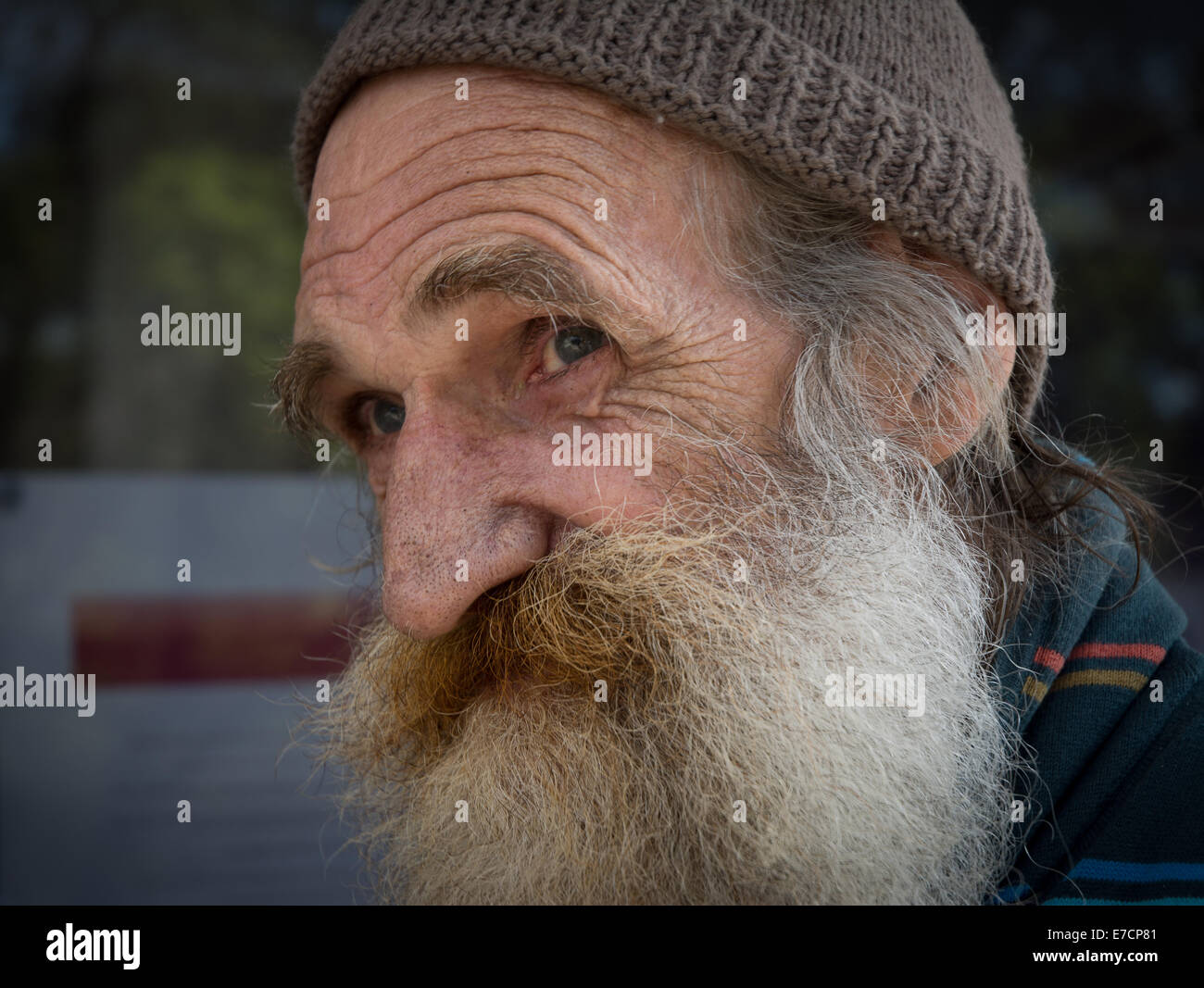 Vieux barbu Banque de photographies et d’images à haute résolution - Alamy