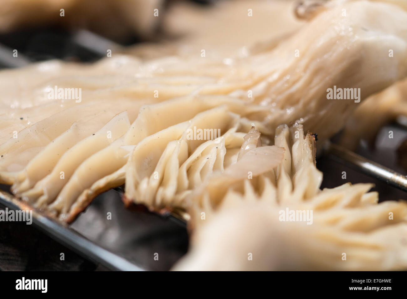 Champignon de vache Banque de photographies et d’images à haute ...
