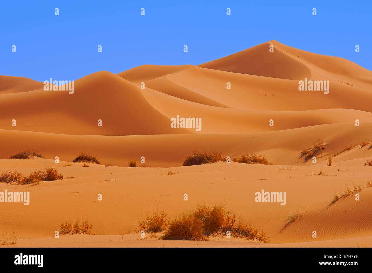 Merzouga, Erg Chebbi, Merzouga dunes de sable, désert du Sahara, Maroc ...