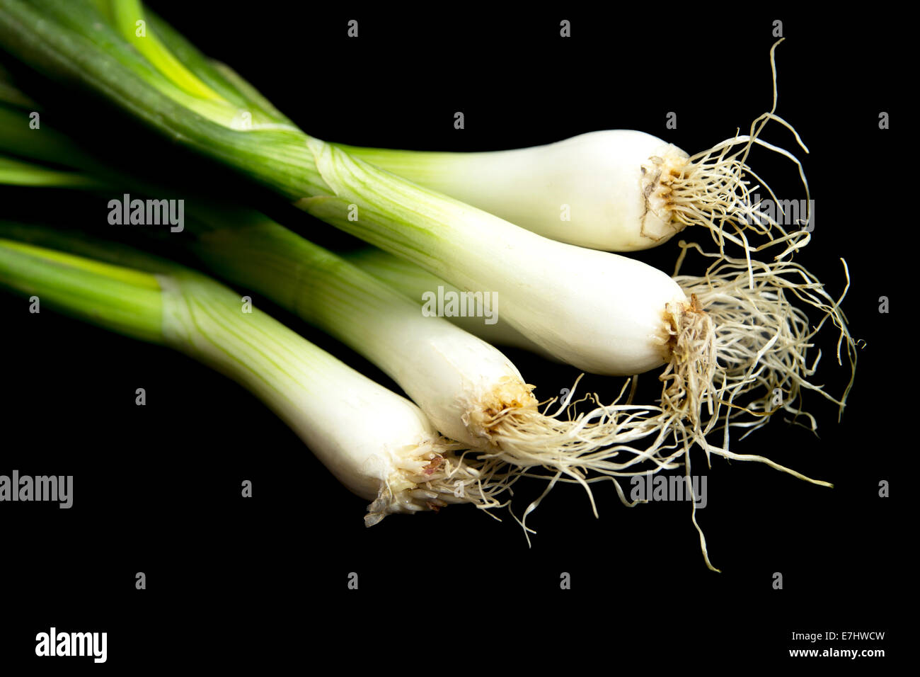 Oignon vert Banque de photographies et d’images à haute résolution - Alamy