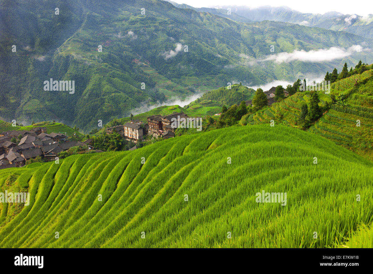 Terrasses traditionnelles Banque de photographies et d’images à haute ...