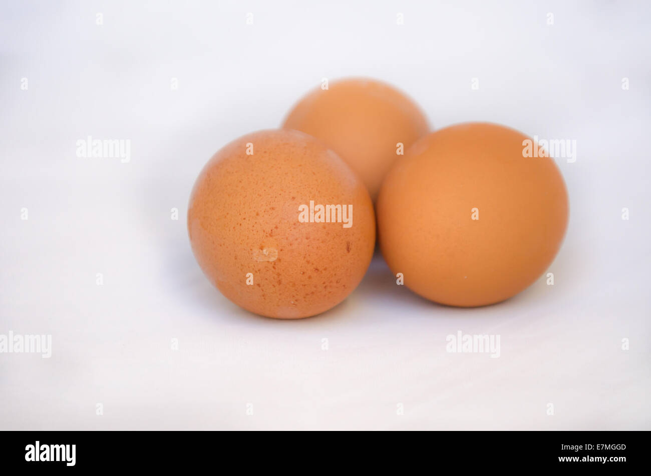 Poulet sur oeuf Banque de photographies et d’images à haute résolution ...