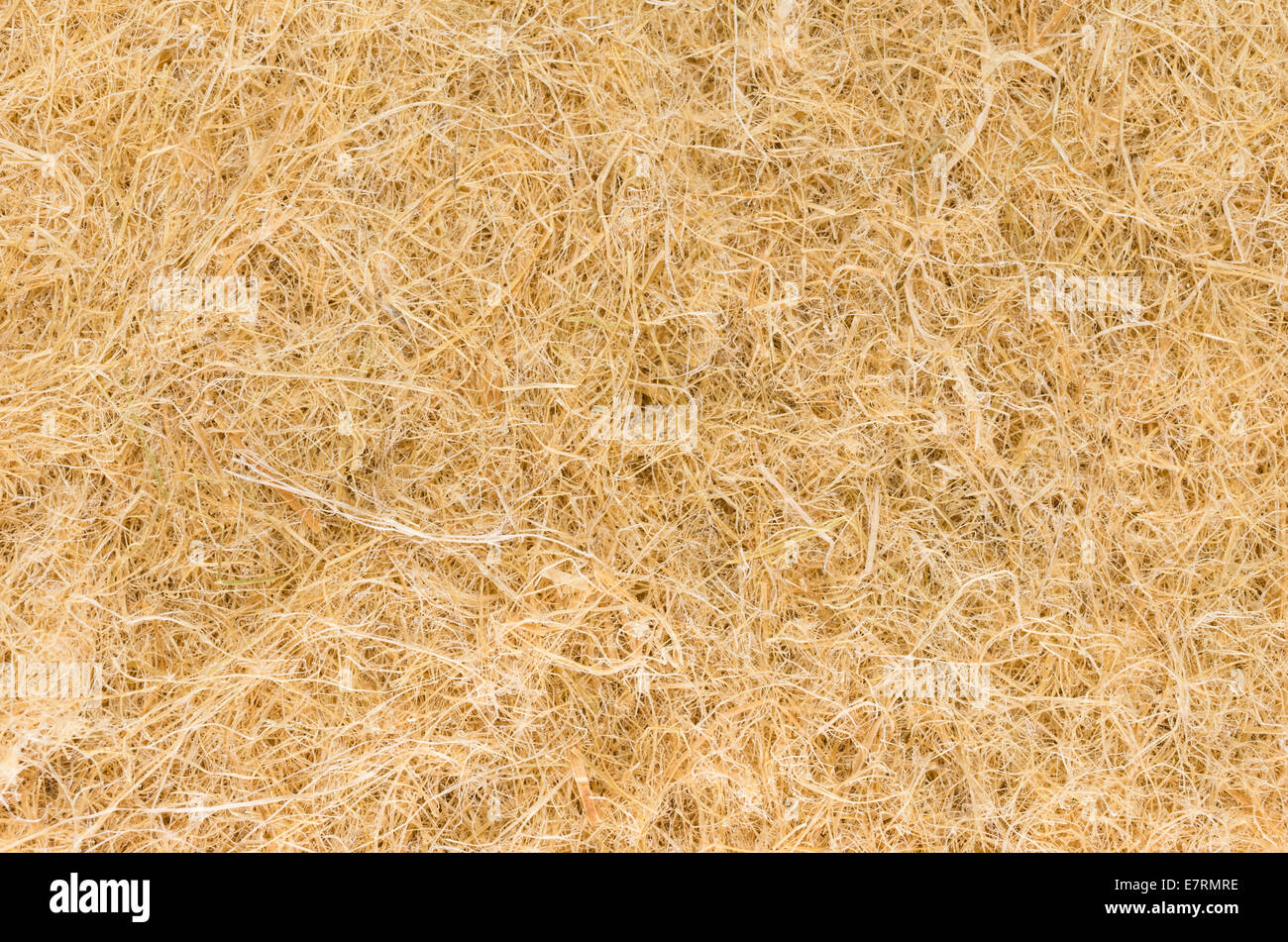 Fibre de chanvre Banque de photographies et d’images à haute résolution ...