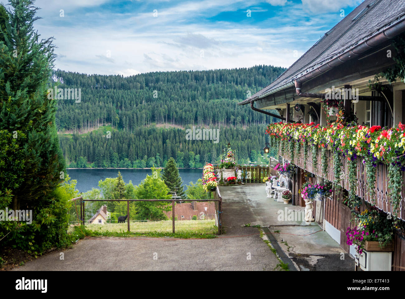 Forêt Noire Allemagne Banque d'image et photos - Alamy