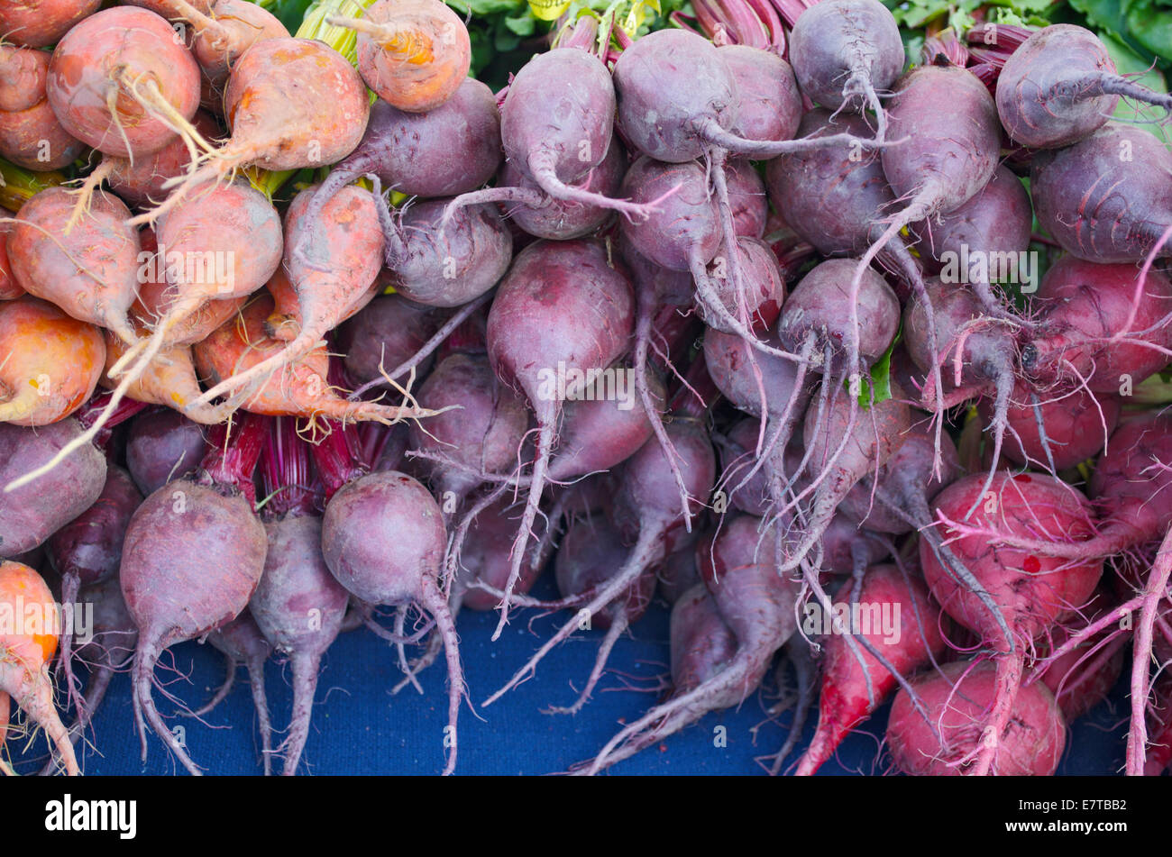Les betteraves rouges Banque de photographies et d’images à haute ...