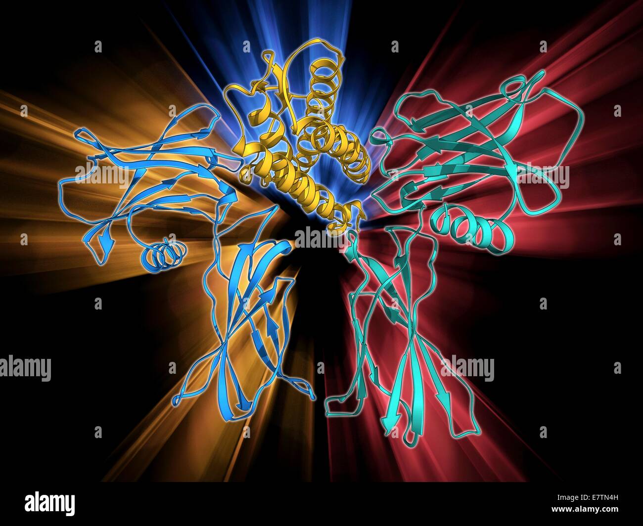 Epo érythropoïétine Banque de photographies et d’images à haute ...