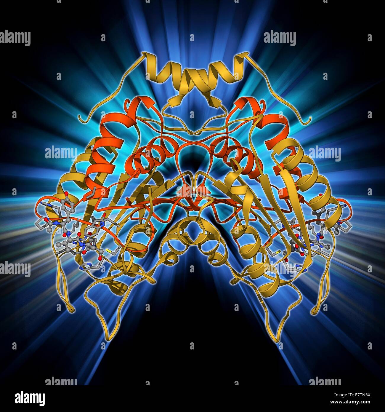 Interleukine 1 alpha Banque de photographies et d’images à haute ...